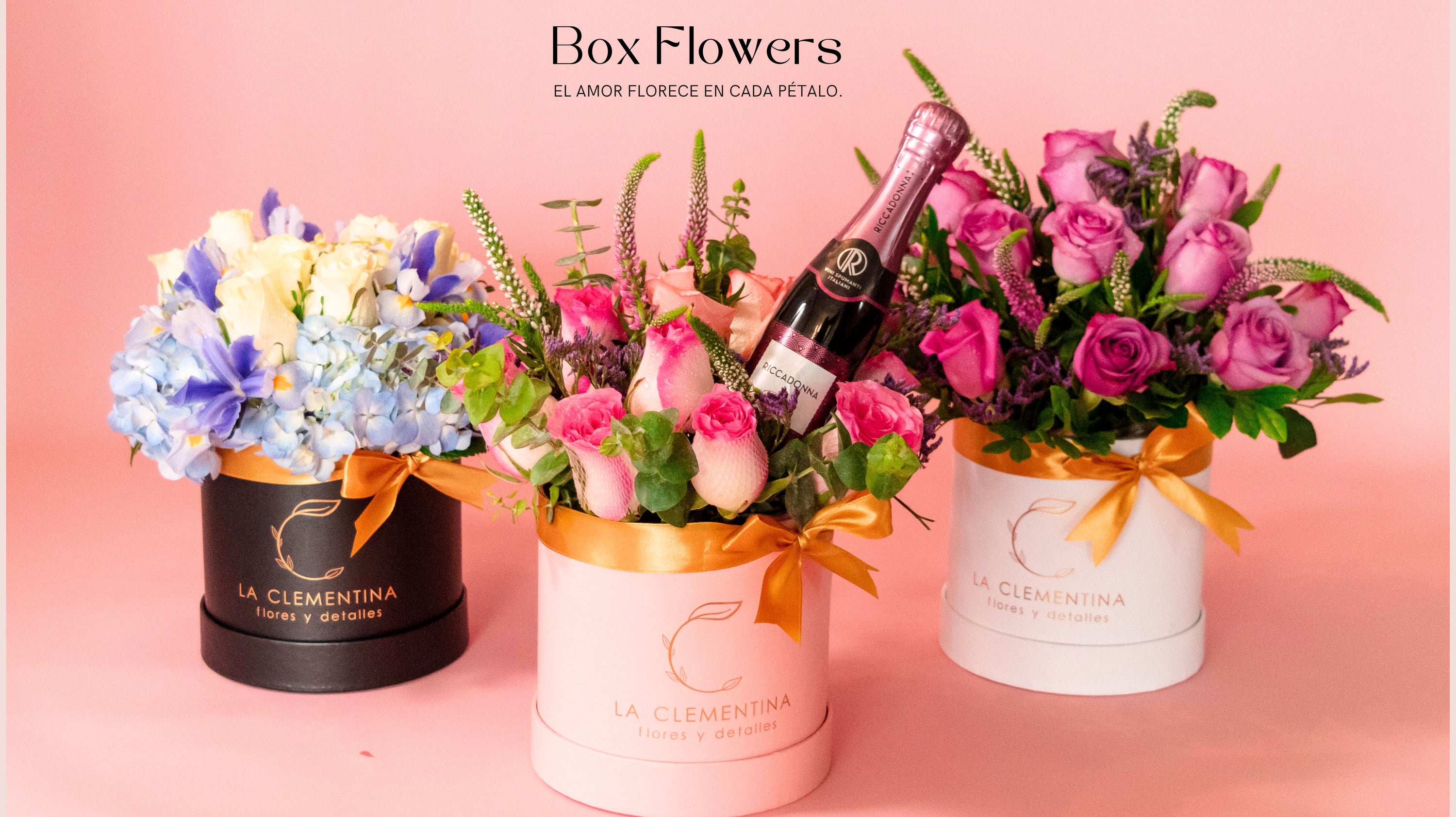La Clementina - Floristeria – La Clementina Floristería